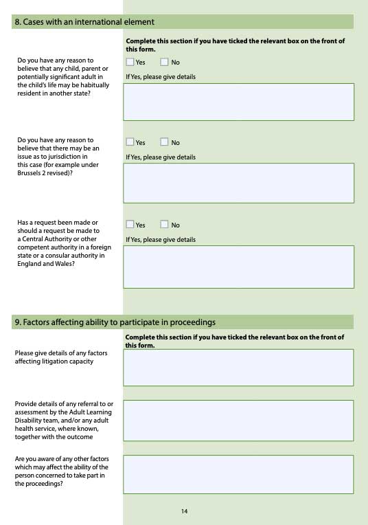 C100 Application Form Guide - Direct Mediation Services