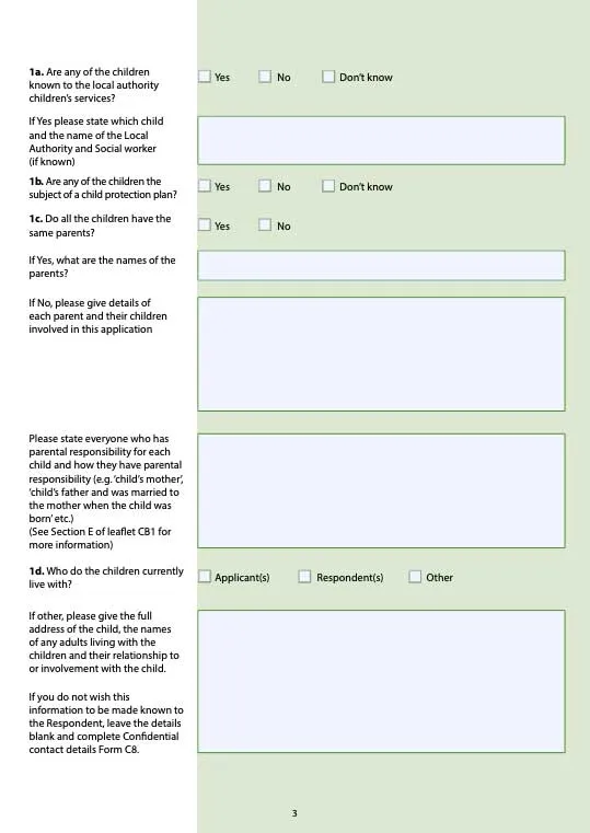 C100 Application Form Guide - Direct Mediation Services