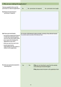 C100 Application Form Guide - Direct Mediation Services